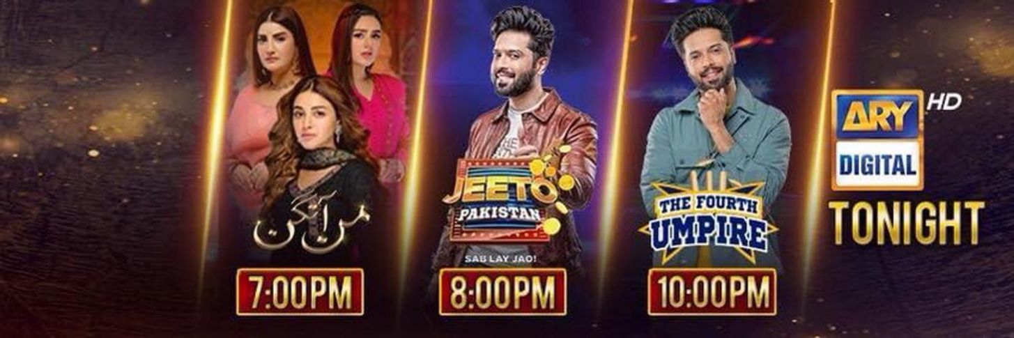 Ary Digital Logo