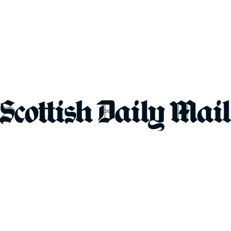 The Western Mail Logo Daily Mail Gaming Marks First Anniversary